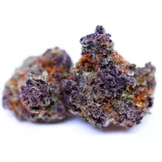 Boutique CBD France | Livraison CBD express | CBD Purple